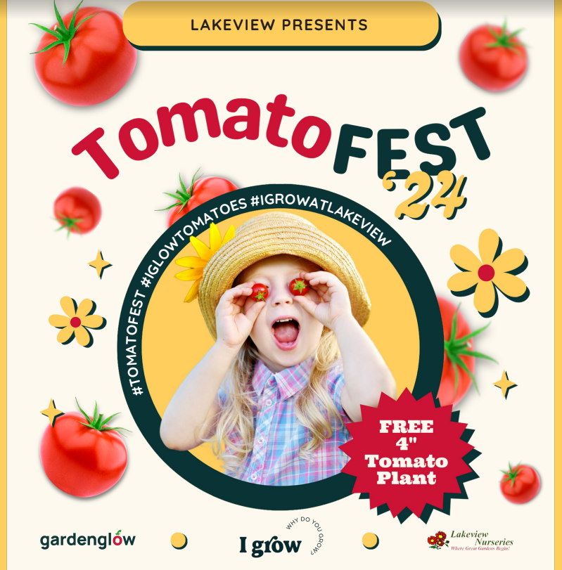 It's Tomatofest Time! - Lakeview Nurseries