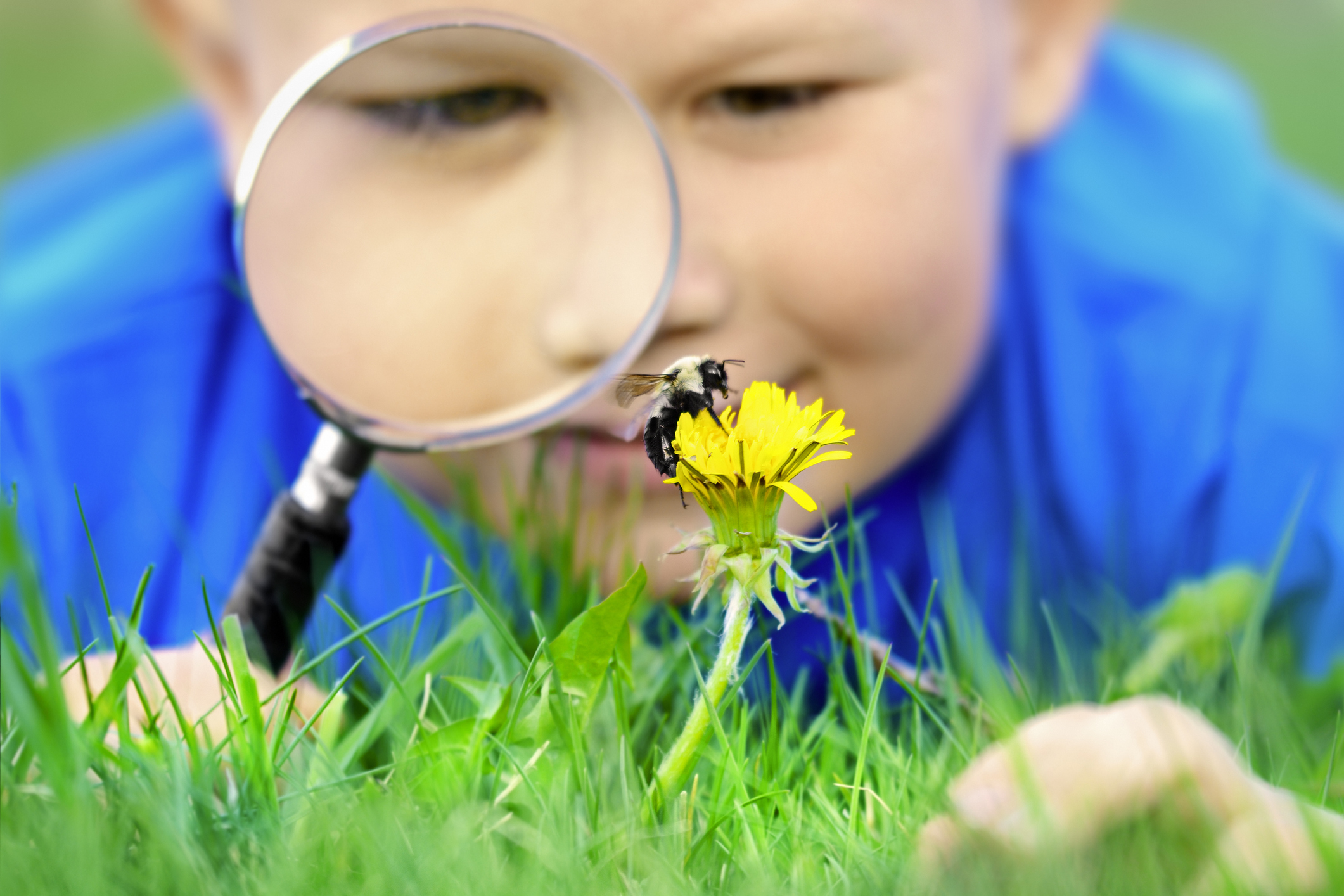Join Our New Kids Pollinator Program! 🌸 - Lakeview Nurseries